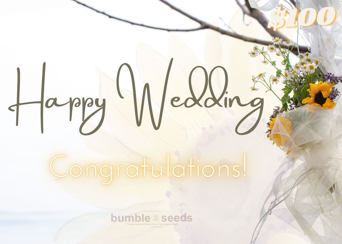 Happy Wedding Gift Card – Bumbleseeds