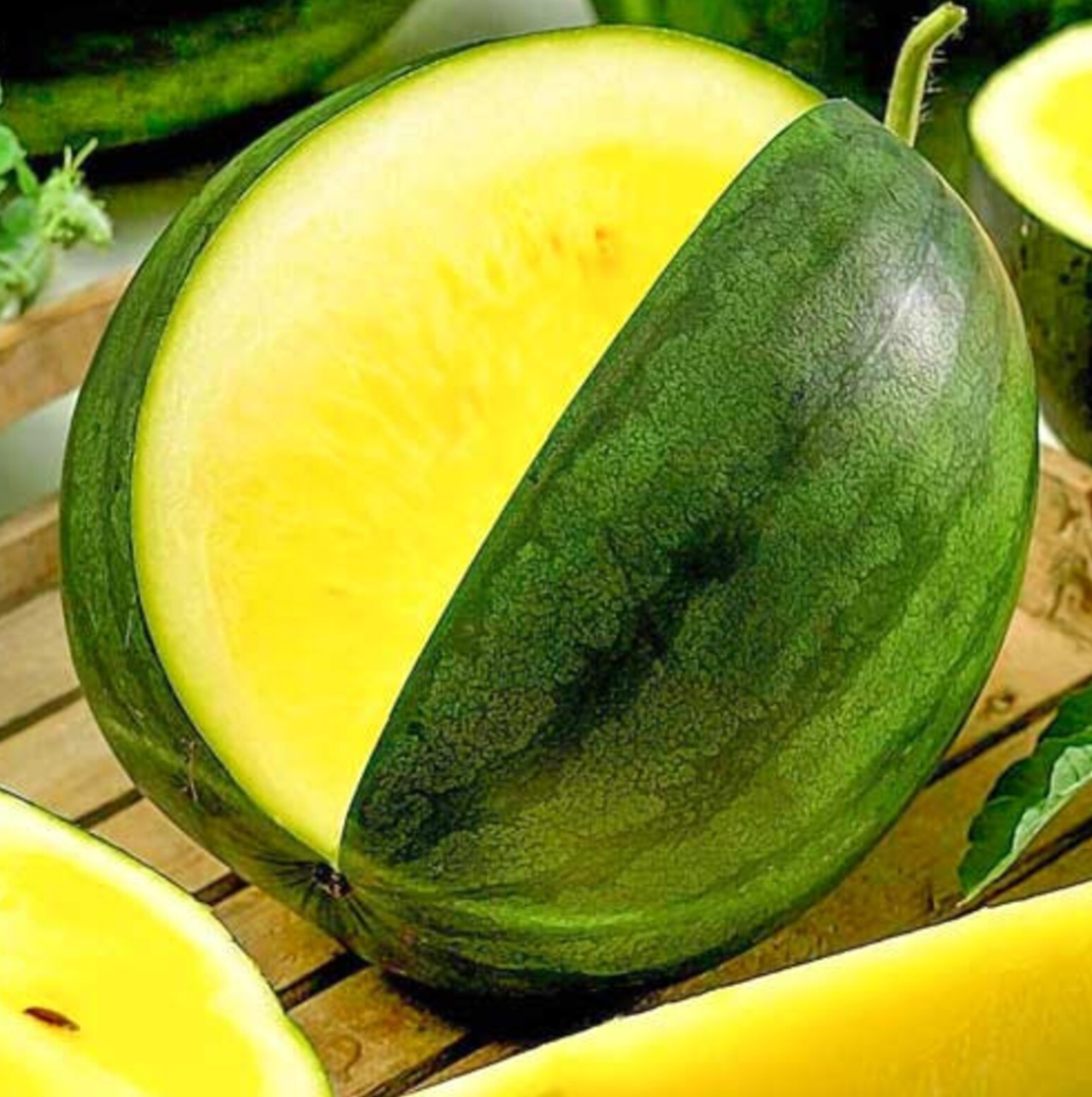 Watermelon - Yellow Petite (Citrullus lanatus) Organic Non GMO Fruit ...
