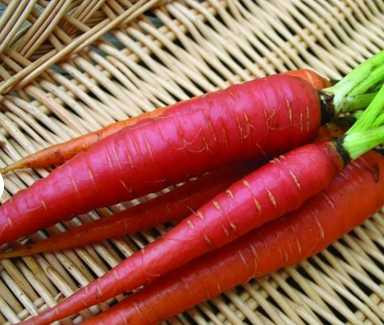 Carrot - Atomic Red ( Daucus carota subsp. sativus.) Atomic Scarlet Re ...