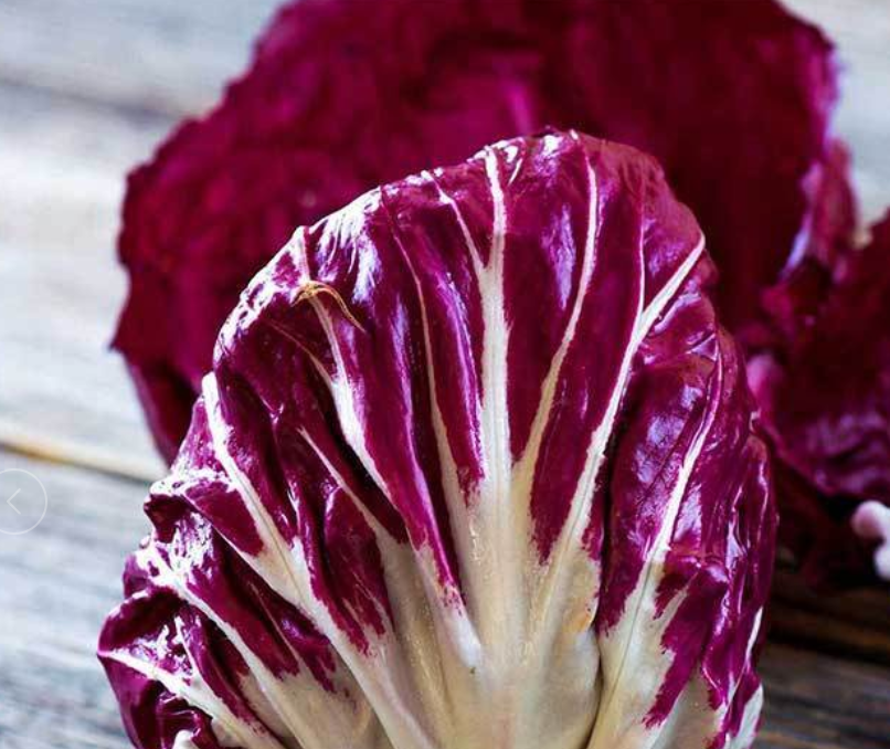 Chicory - Italian - Palla Rossa Radicchio (Cichorium intybus) Radicchi ...