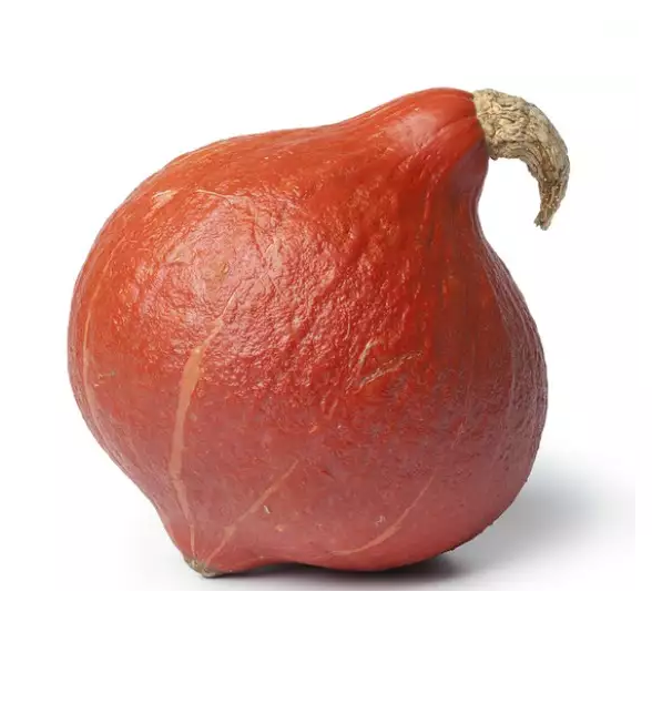 Squash - Uchiki Kuri Red Kuri Japanese Orange Hokkaido Potimarron Squa ...