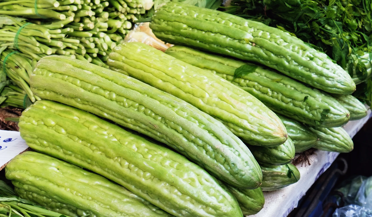 Cucumber - Asian- Suyo Long (Cucumis sativus) Chinese Heirloom Non GMO ...