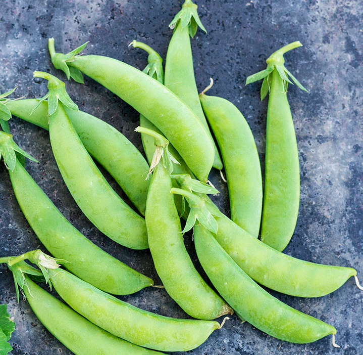 Peas - Cascadia Snap (Pisum Sativum) Sugar Ann Snap Peas Non GMO & Org ...