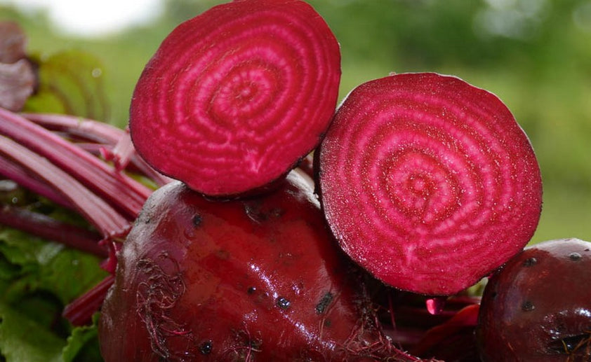 Beet – Detroit Dark Red (Beta vulgaris) Detroit Dark Red Beets Non GMO ...
