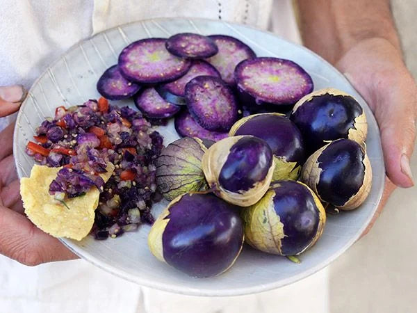 Tomatillo - Heirloom Purple Tomatillos (Physalis ixocarpa) Heirloom Pu ...