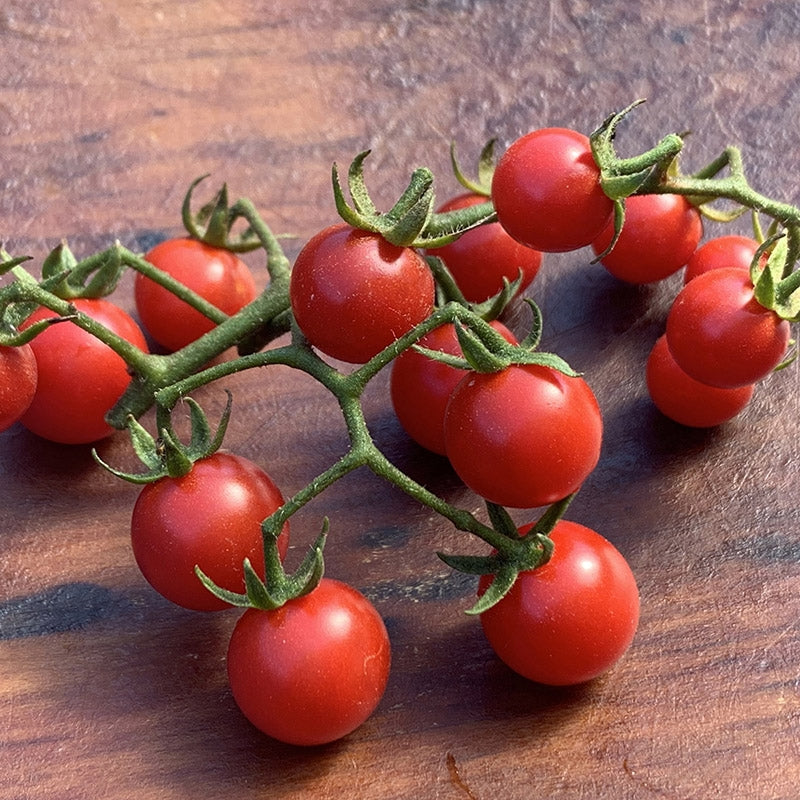Tomato - Cherry - Matts Wild Cherry (Lycopersicum esculentum var. cera ...